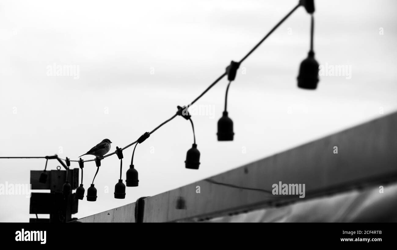 Small building light Black and White Stock Photos & Images - Alamy