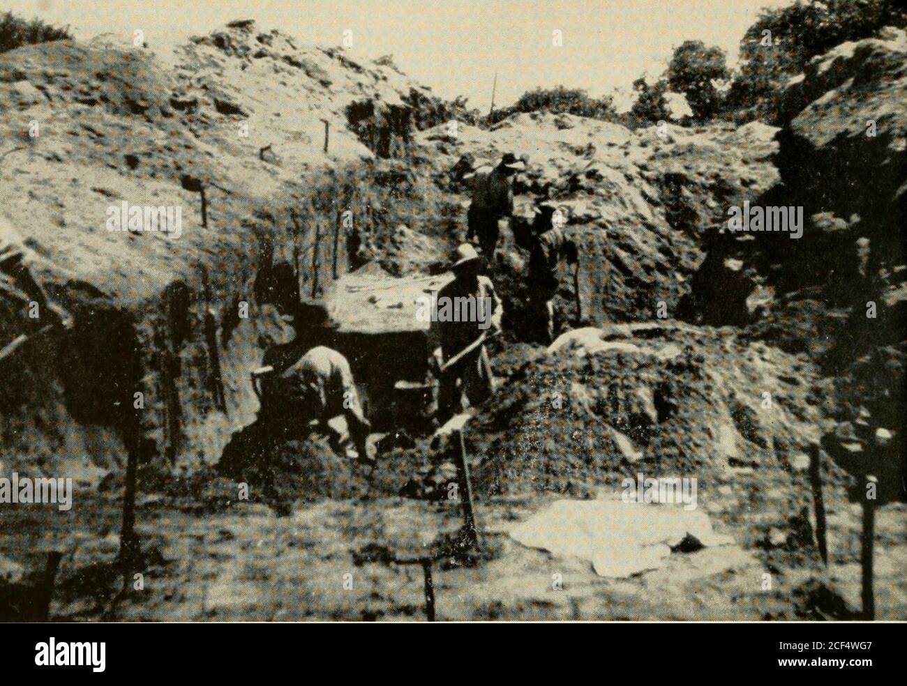 . Smithsonian miscellaneous collections. 2. Specimens of the Sub-Taino ...