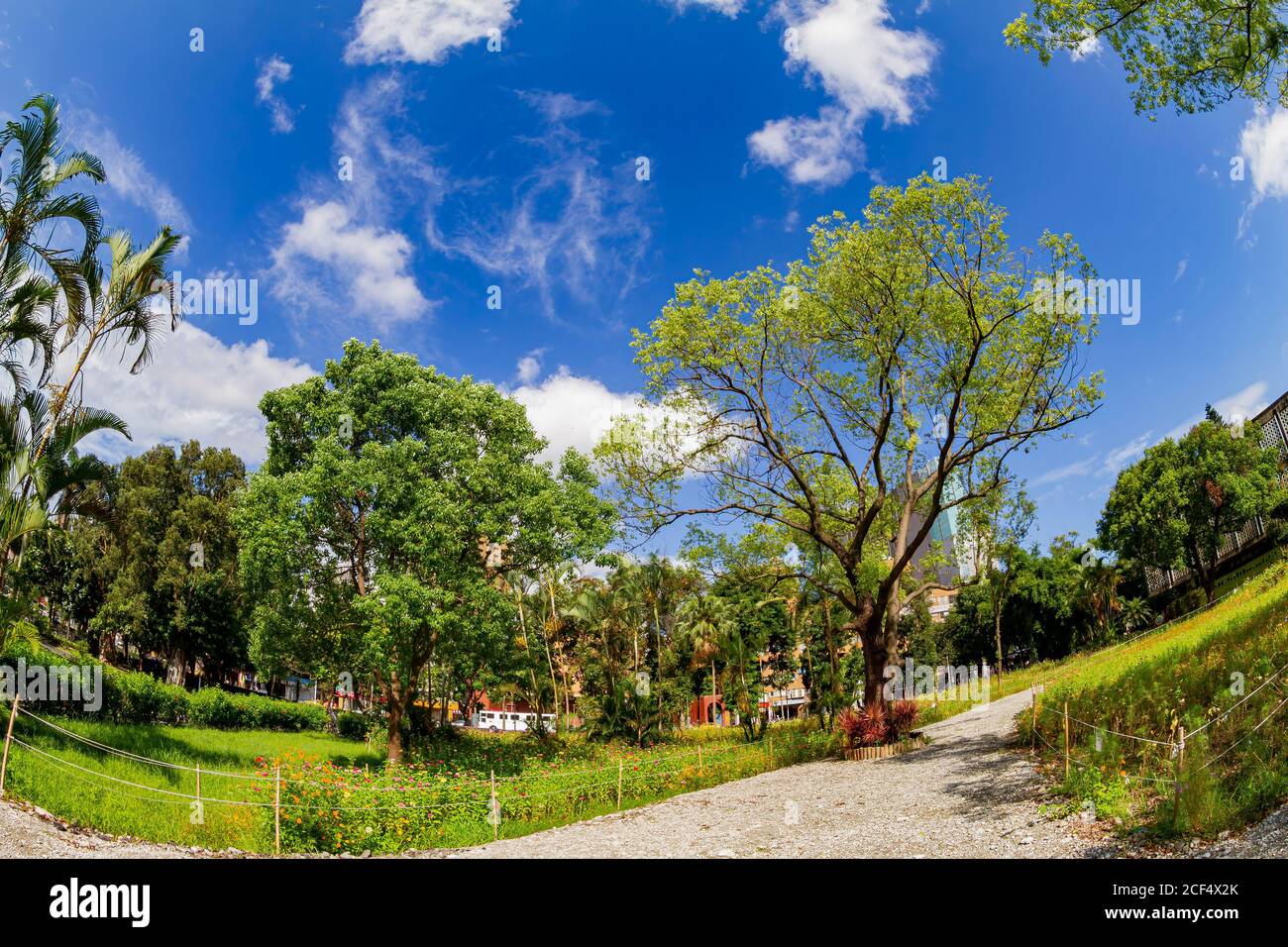 Sunny view of the NTU Campus at Taipei, Taiwan Stock Photo - Alamy