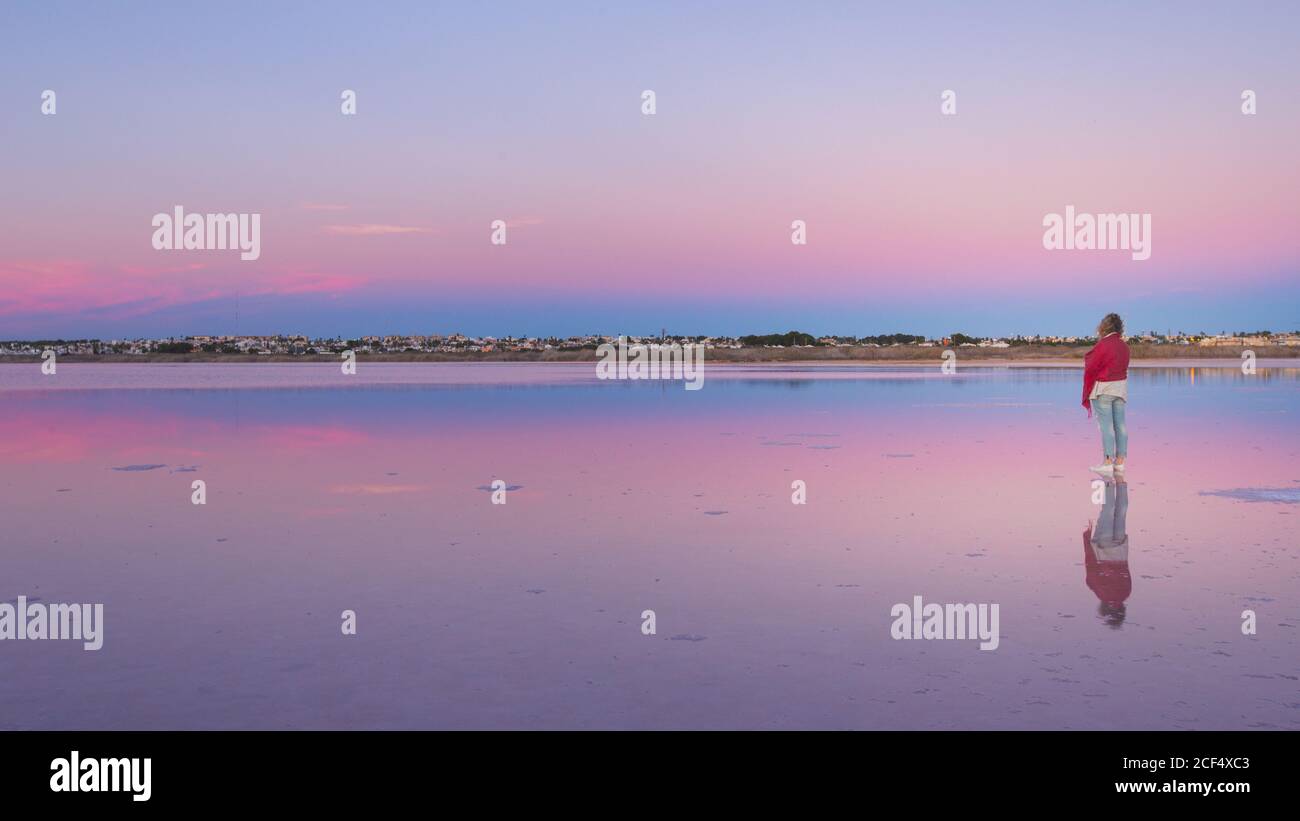 Back view of female standing alone and watching bright pink blue sky on ...