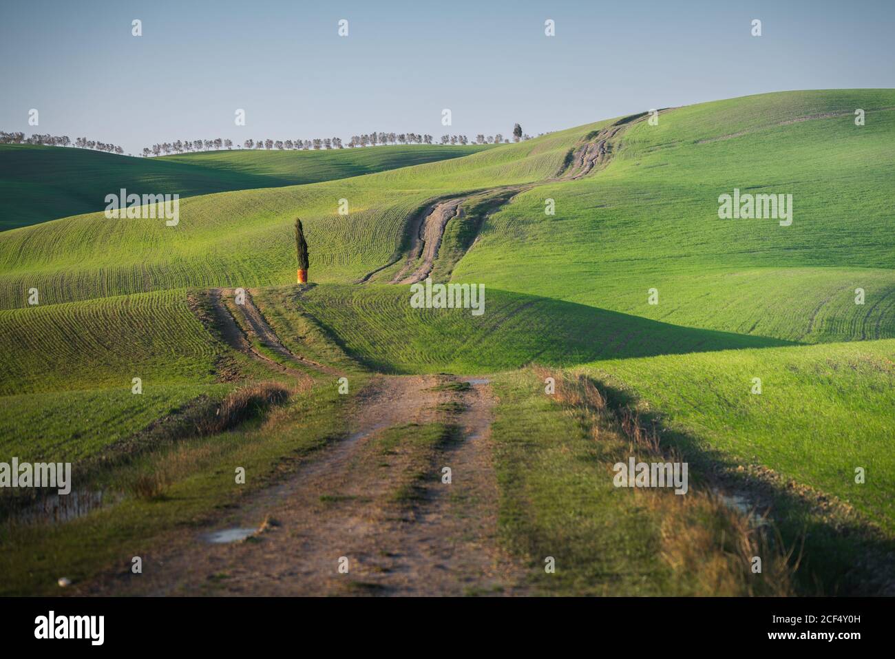 Endless green fields in italy hi-res stock photography and images - Alamy