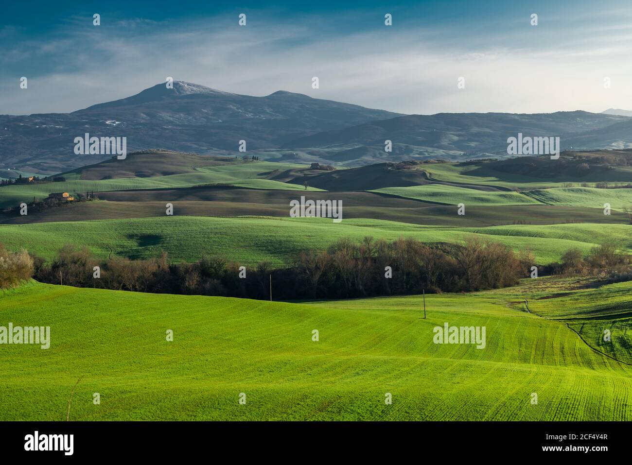 Endless green fields in italy hi-res stock photography and images - Alamy