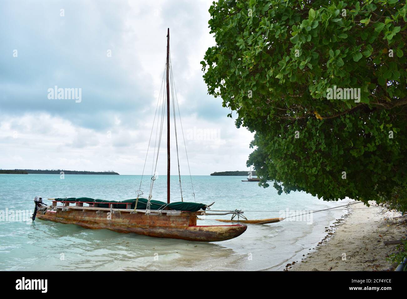 A small wooden catamaran style fishing boat tied to a tree along a ...