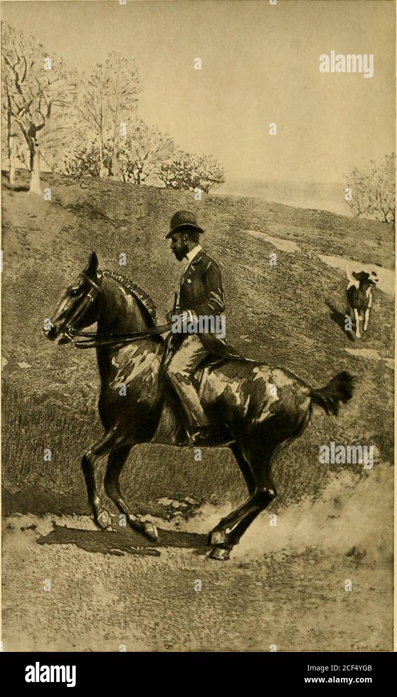 False leg for a horse hi-res stock photography and images - Alamy