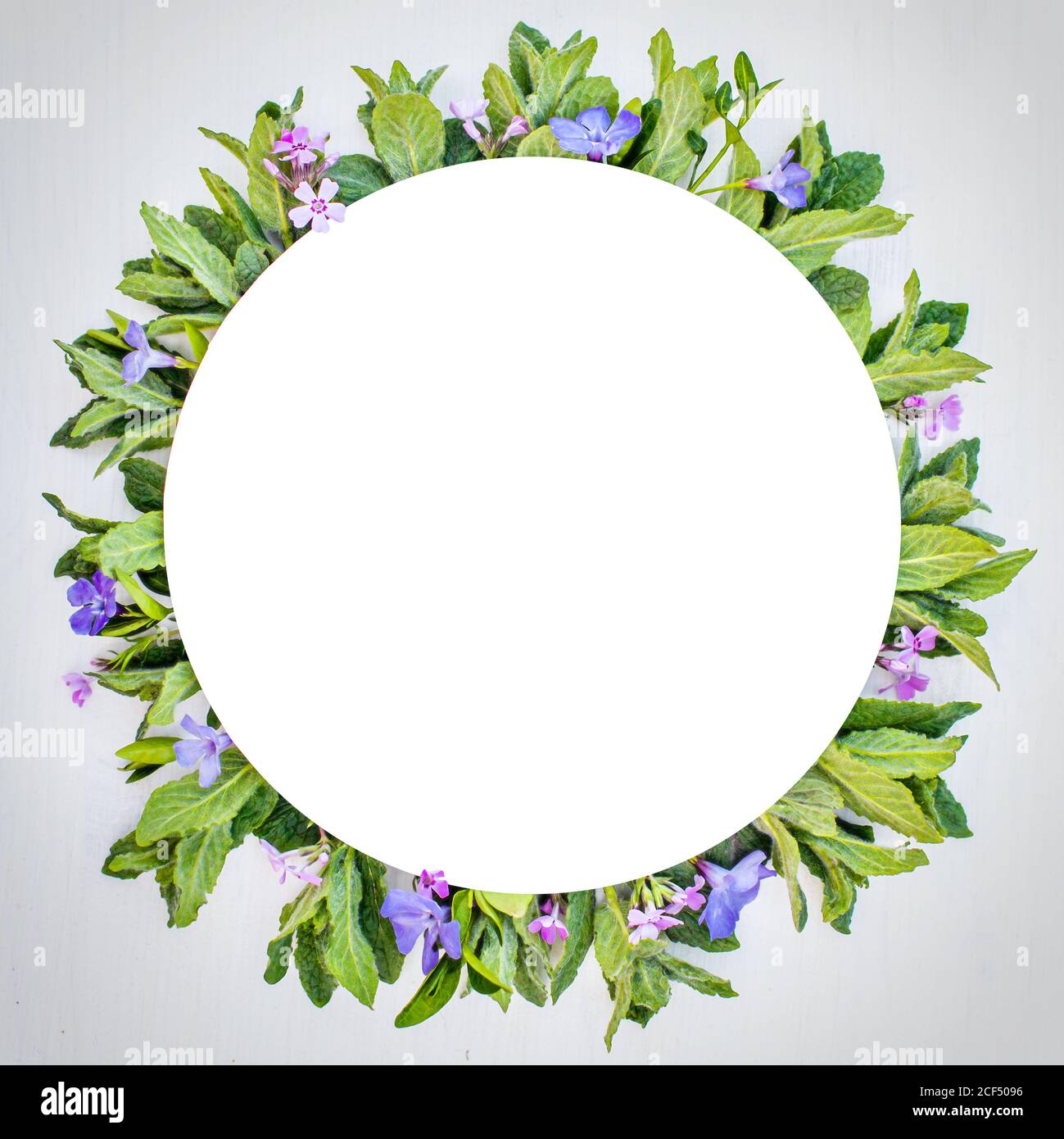 Round frame with Fresh Mentha suaveolens, Pink and purple flowers on ...