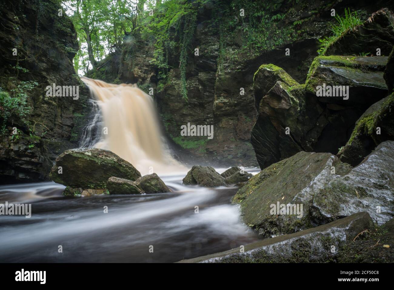 Hareshaw Linn waterfall and walk Stock Photo - Alamy