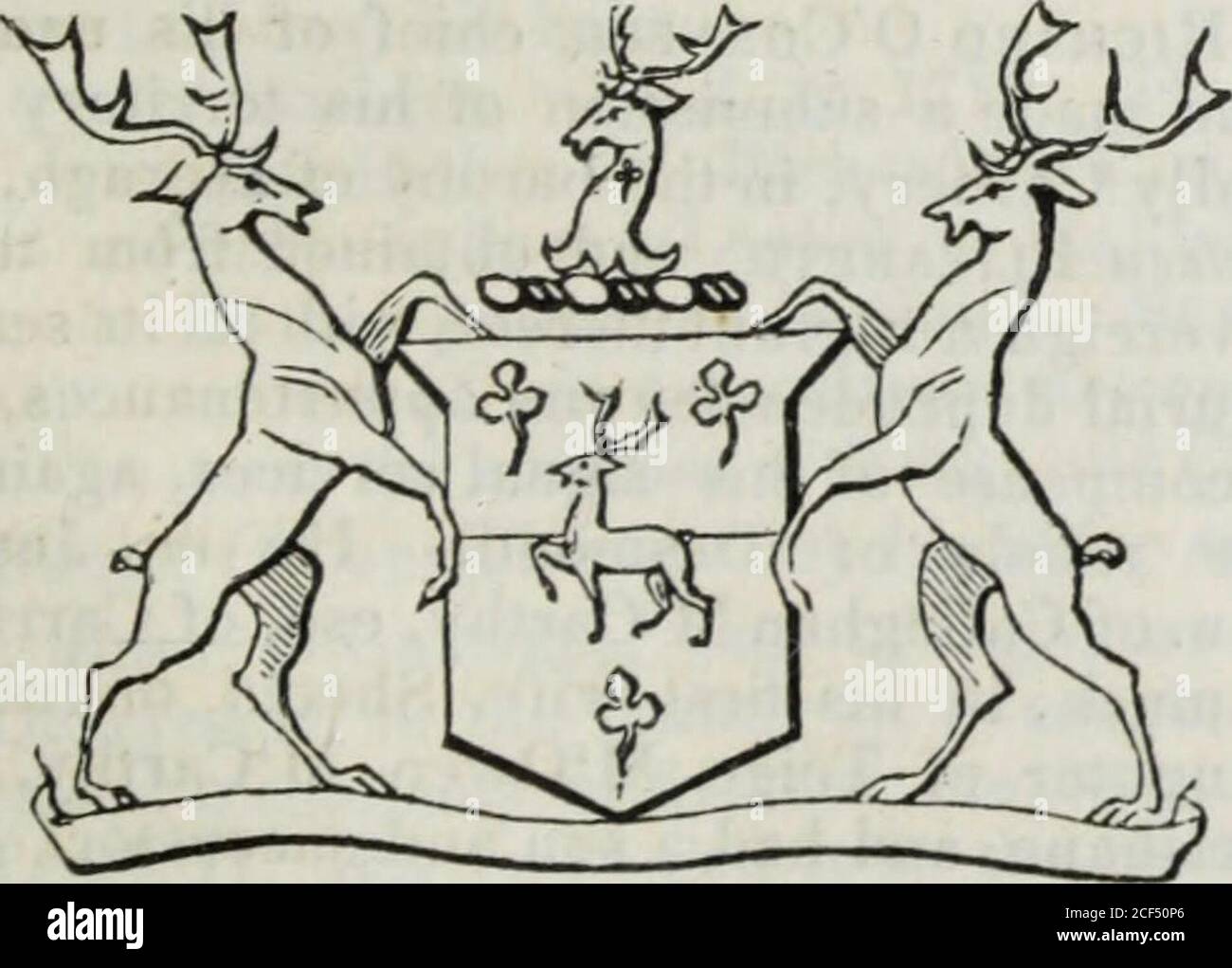 Catherine oconnell hi-res stock photography and images - Alamy