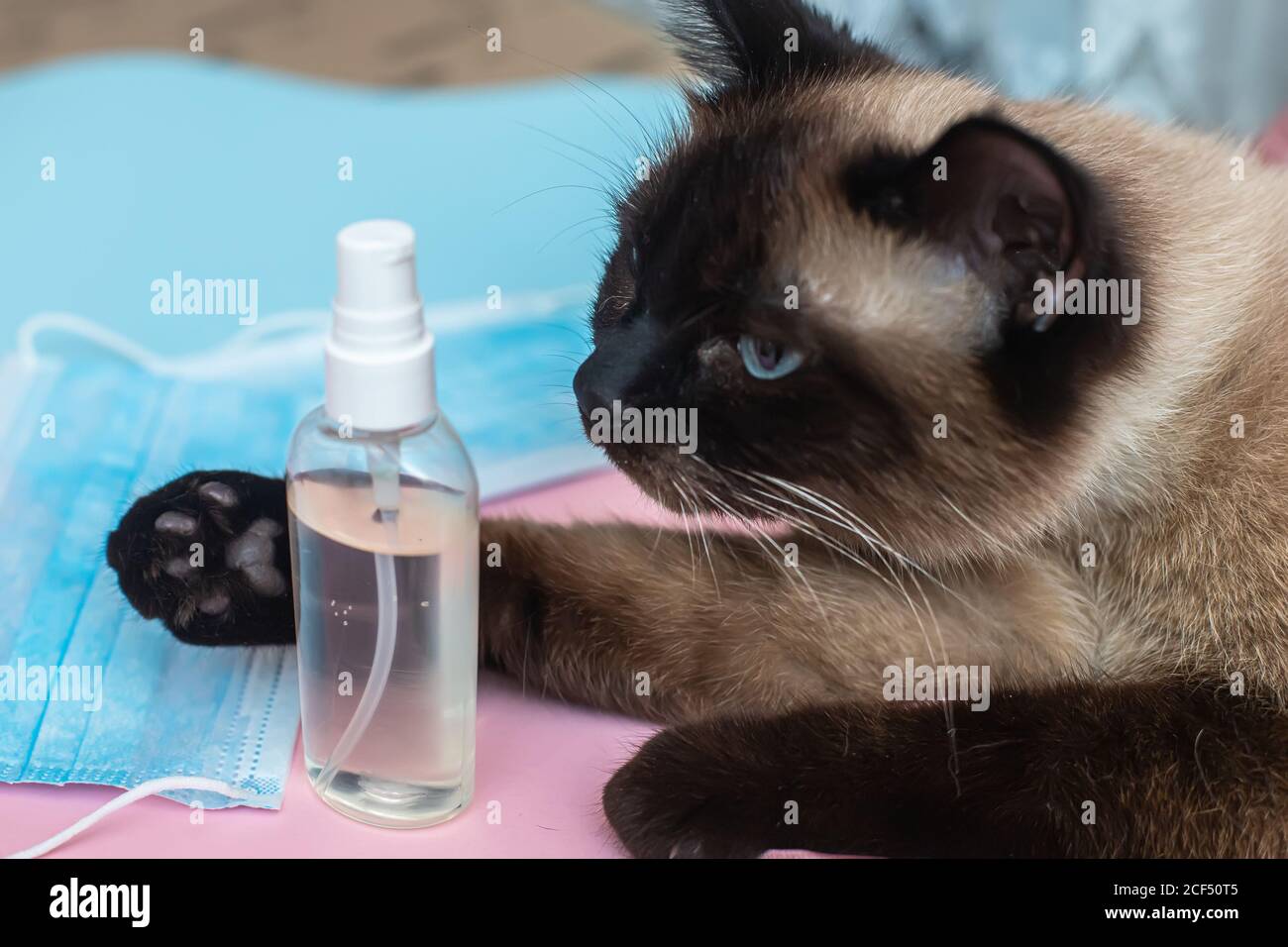 Protect bacteria hi-res stock photography and images - Alamy