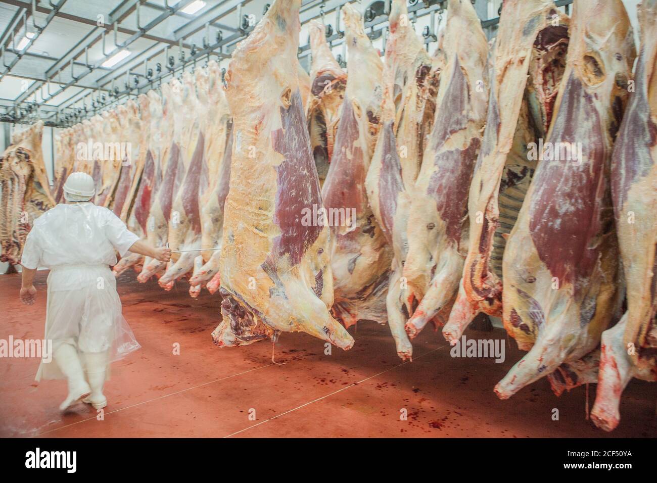 Meat inspector hi-res stock photography and images - Alamy