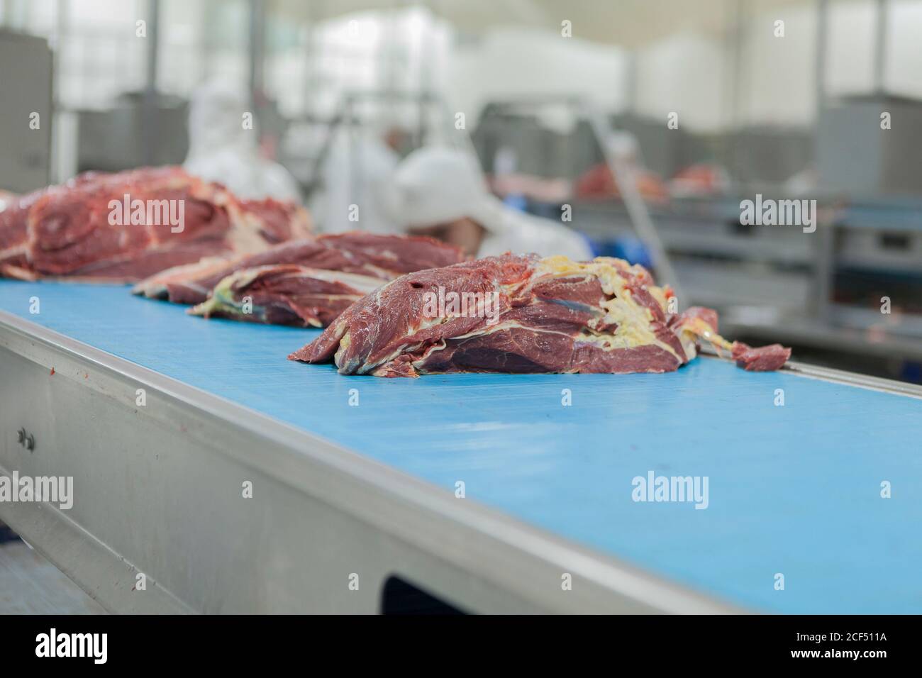 Fresh juicy nutrition chopped on slices meat ready on steel conveyor ...