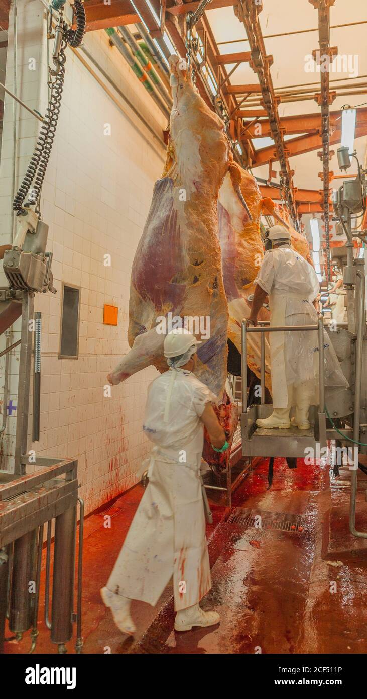 Carcass beef hi-res stock photography and images - Alamy