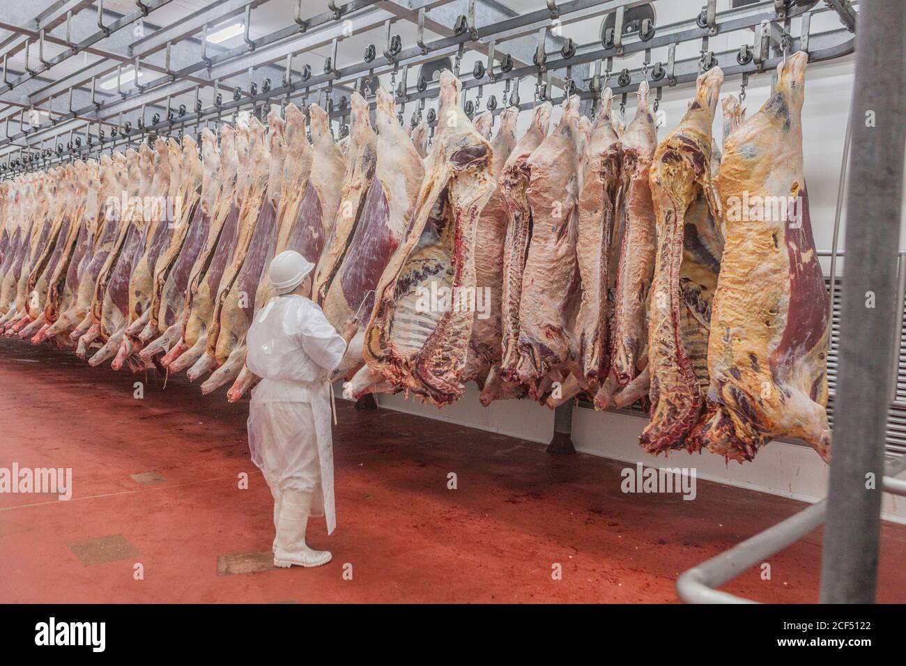 Buenos Aires, southern city of Mar del Plata, Argentina - MAY 07, 2015 ...
