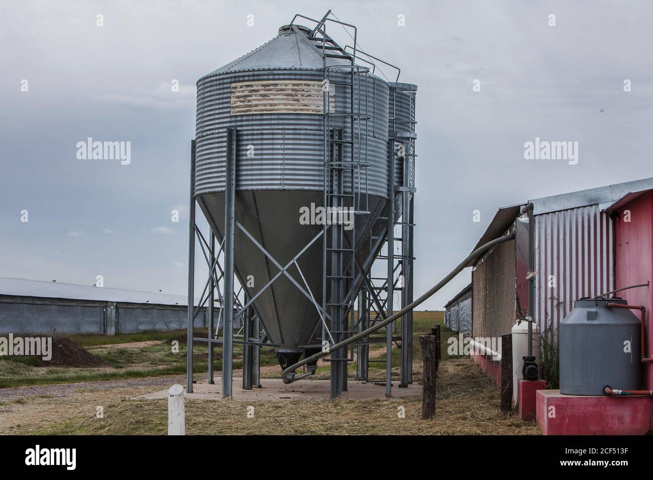 Modern spacious metal seed storage construction at industrial farm on ...
