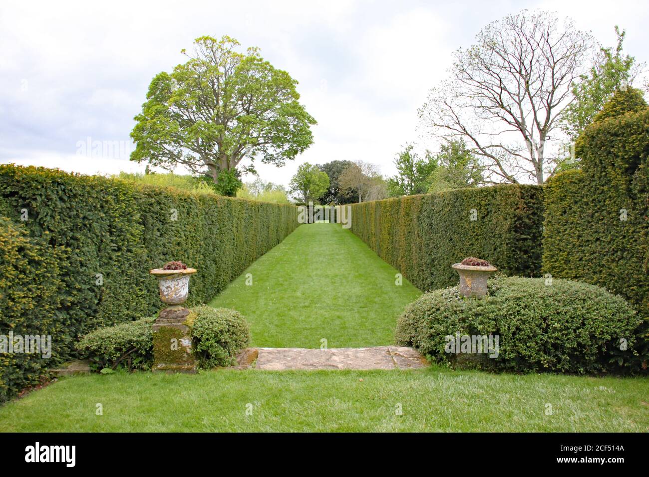 Shaped box hedge plants hi-res stock photography and images - Alamy