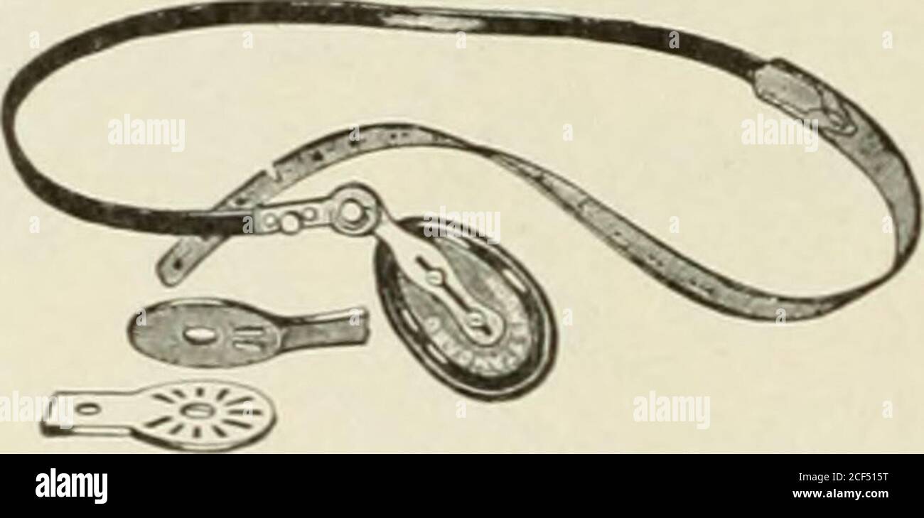 . Abdominal hernia : its diagnosis and treatment. 5. Modified set screw ...