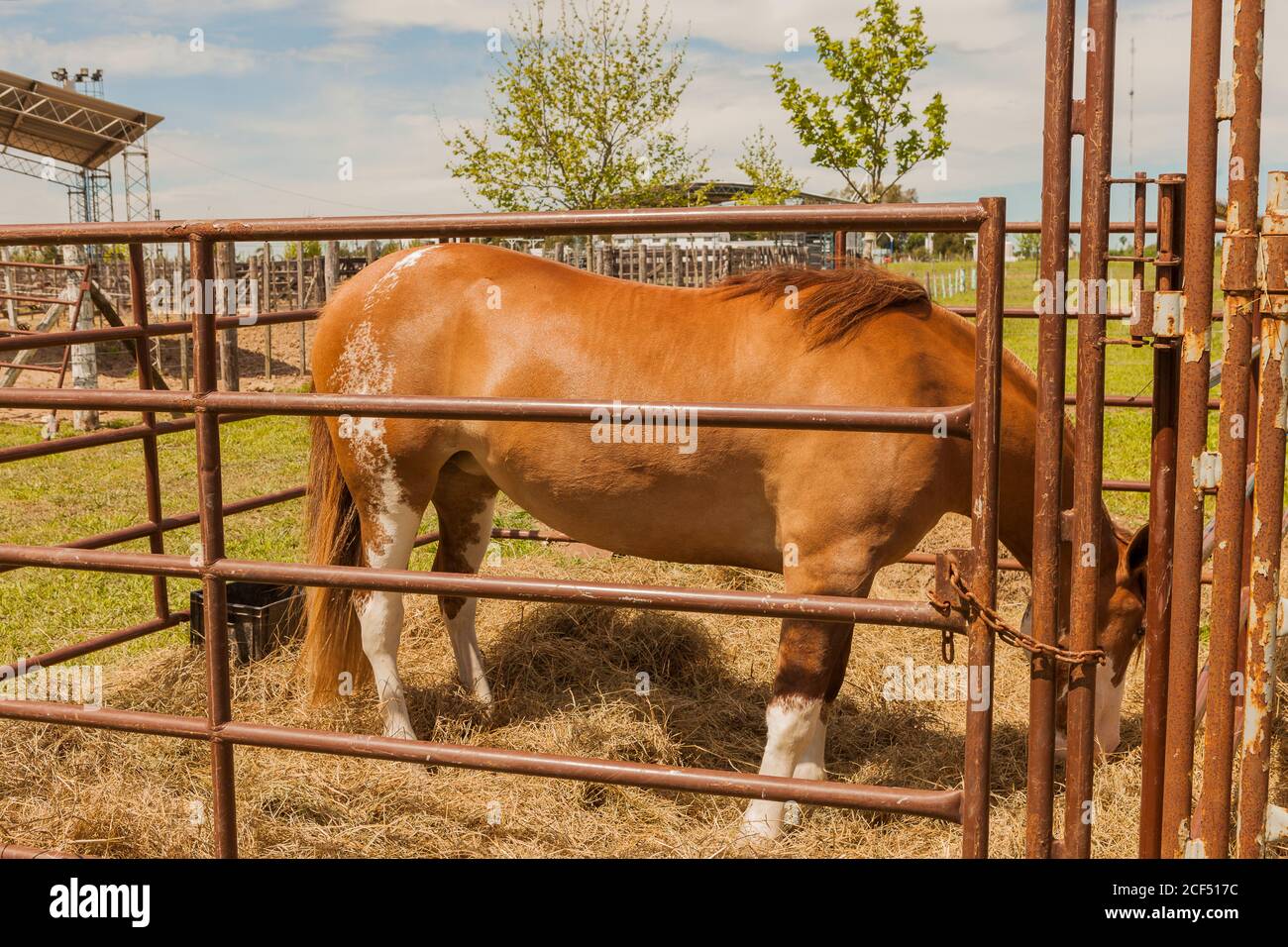 Paddock fence hi-res stock photography and images - Alamy
