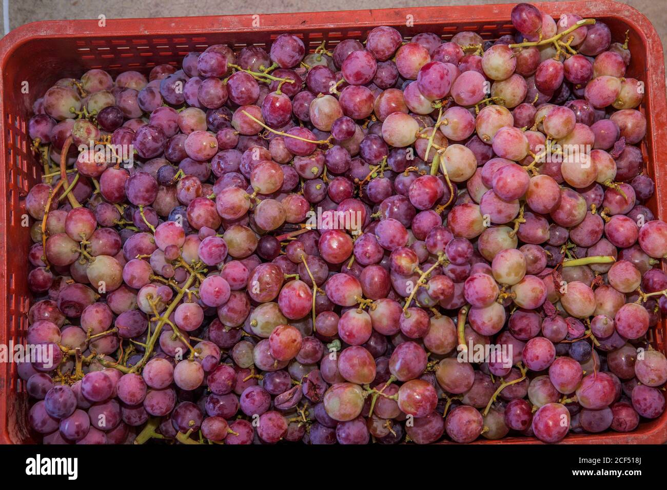 Grapes plastic box hi-res stock photography and images - Alamy