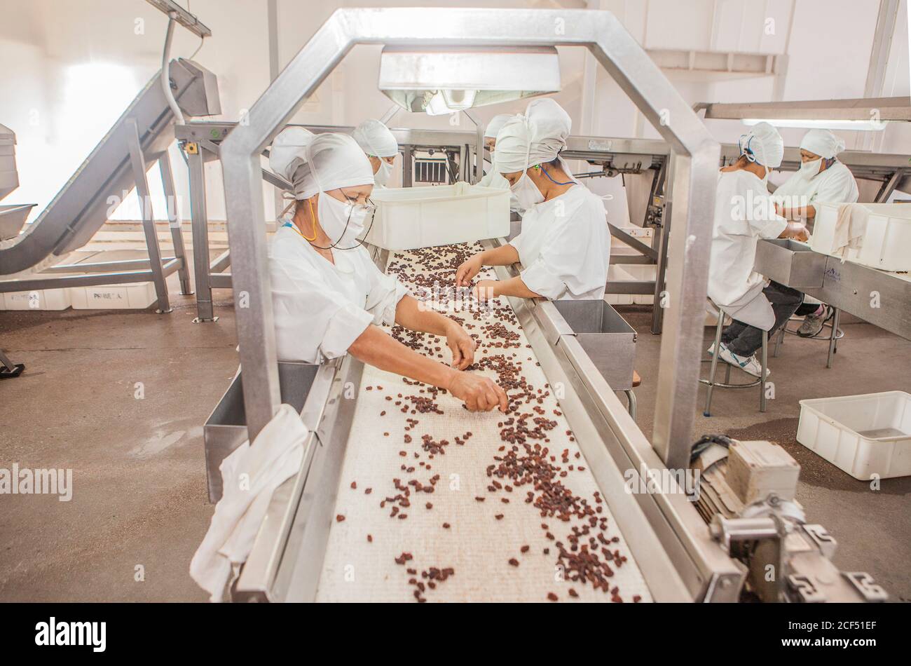 Raisin sorting machine hi-res stock photography and images - Alamy