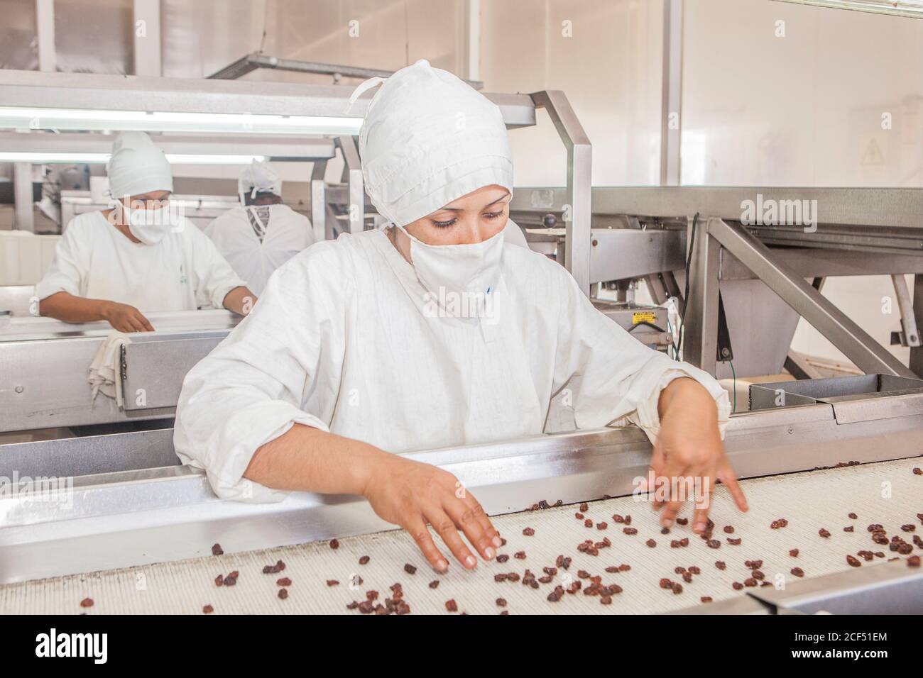 Raisin sorting machine hi-res stock photography and images - Alamy