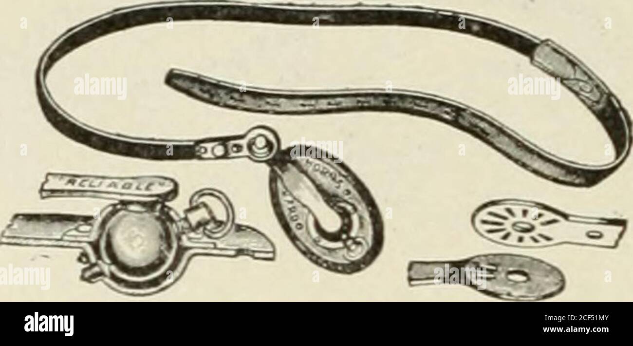 . Abdominal hernia : its diagnosis and treatment. 4. Adjustable ball ...