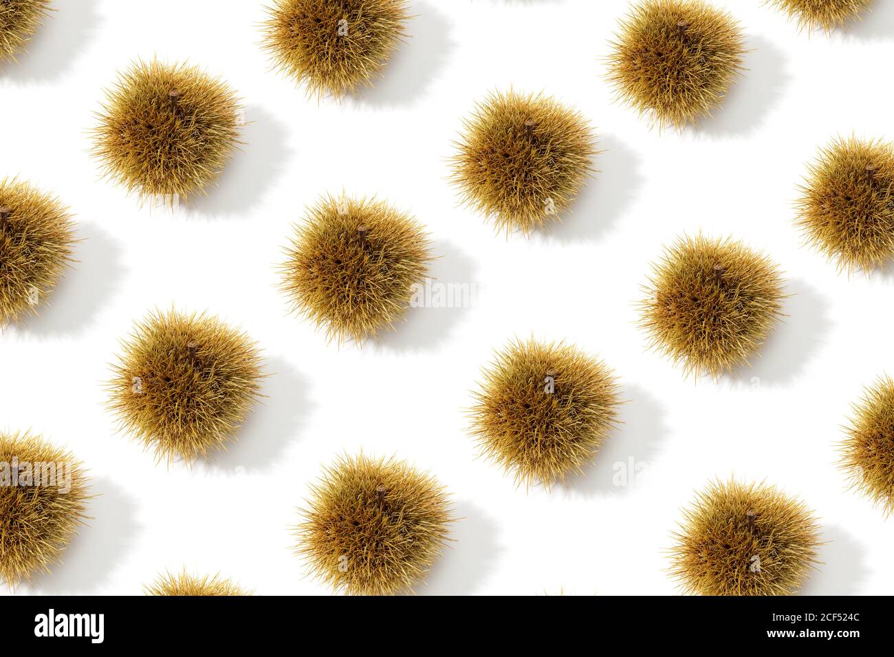 Chestnut husk pattern background. Castanea sativa Stock Photo - Alamy