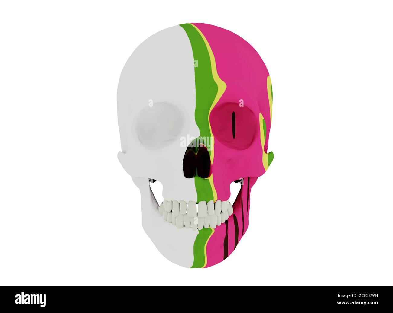 watermelon skull isolated on white, 3d render Stock Photo - Alamy