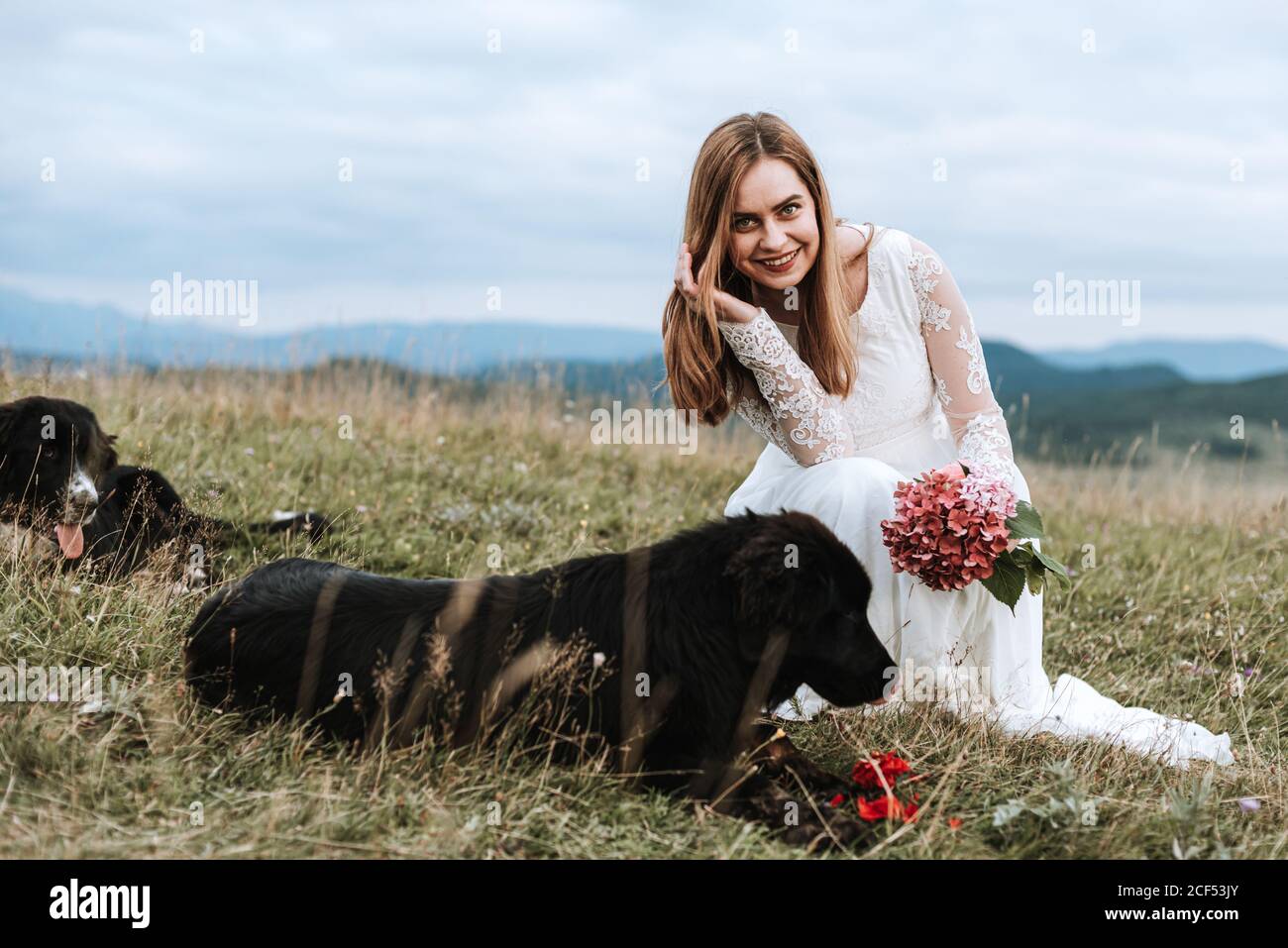 Young bride in wedding dress with two black dogs in nature Stock Photo ...