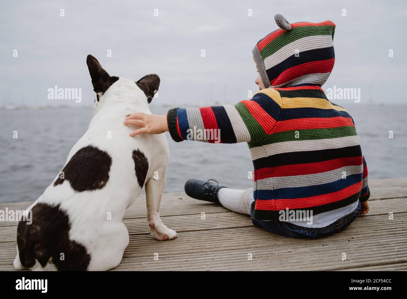 Back view of unrecognizable kid in striped jacket patting spotted ...
