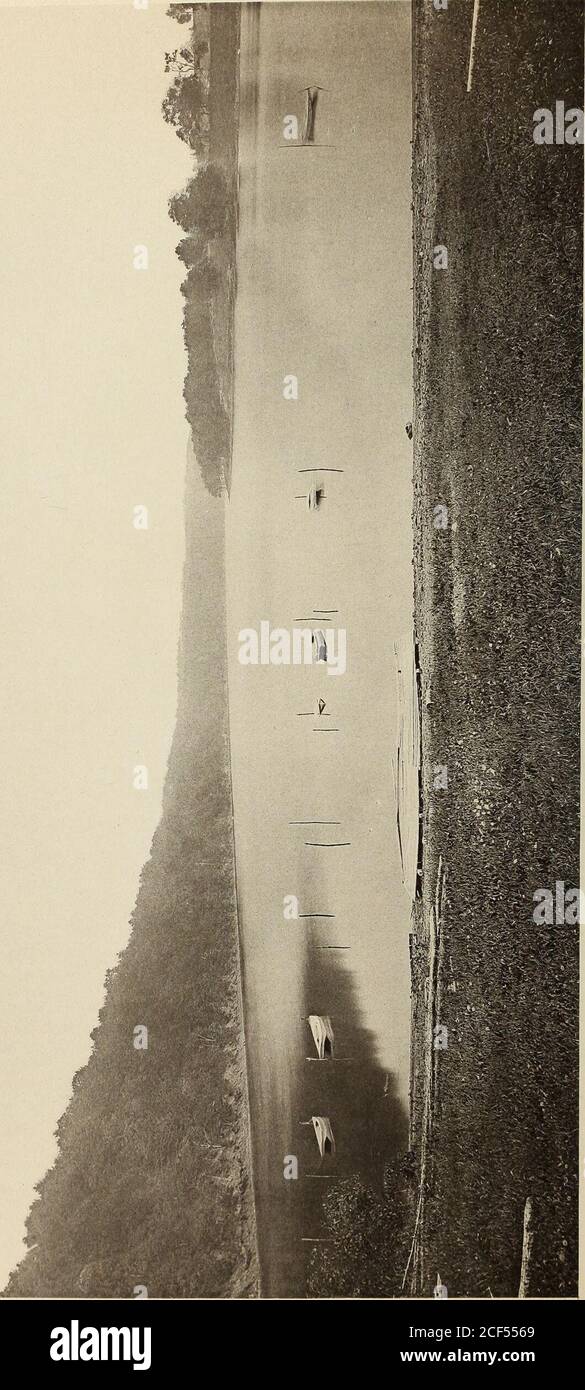 Samuel waite johnson hi-res stock photography and images - Alamy