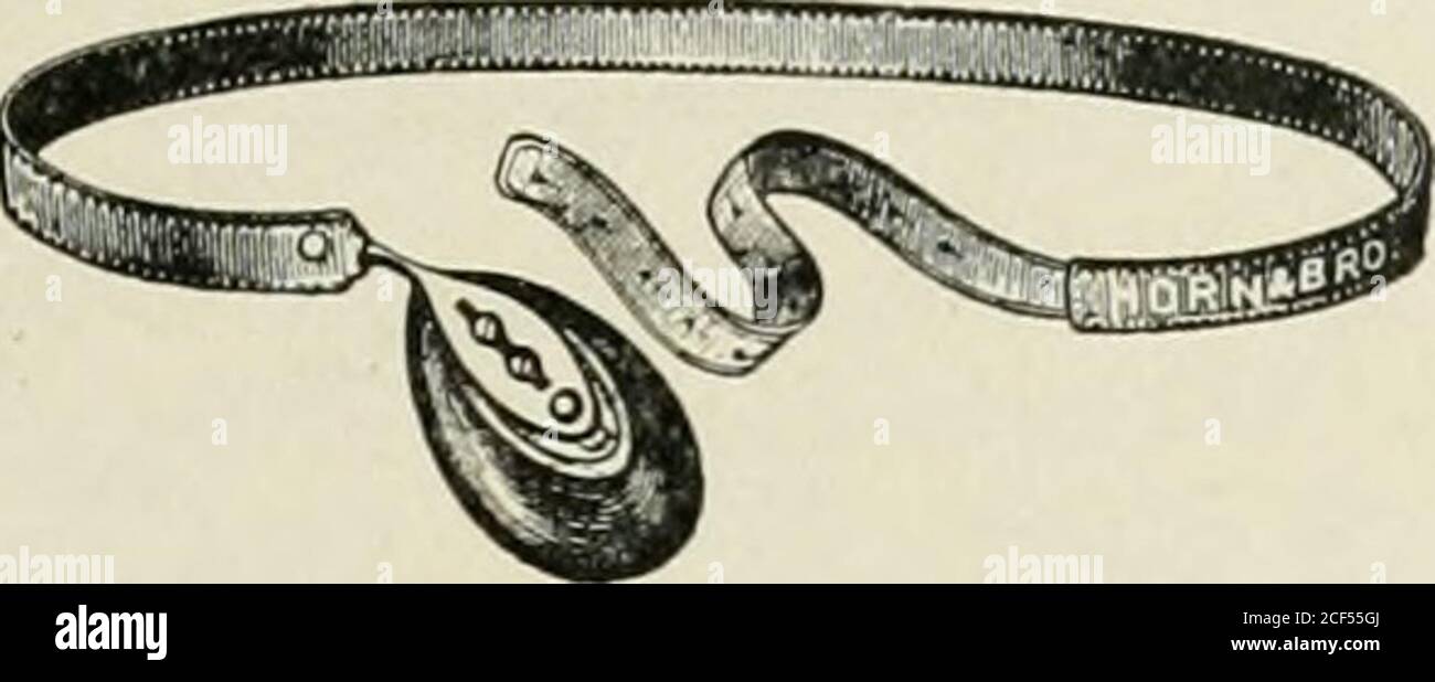 . Abdominal hernia : its diagnosis and treatment. Army and Navy truss ...