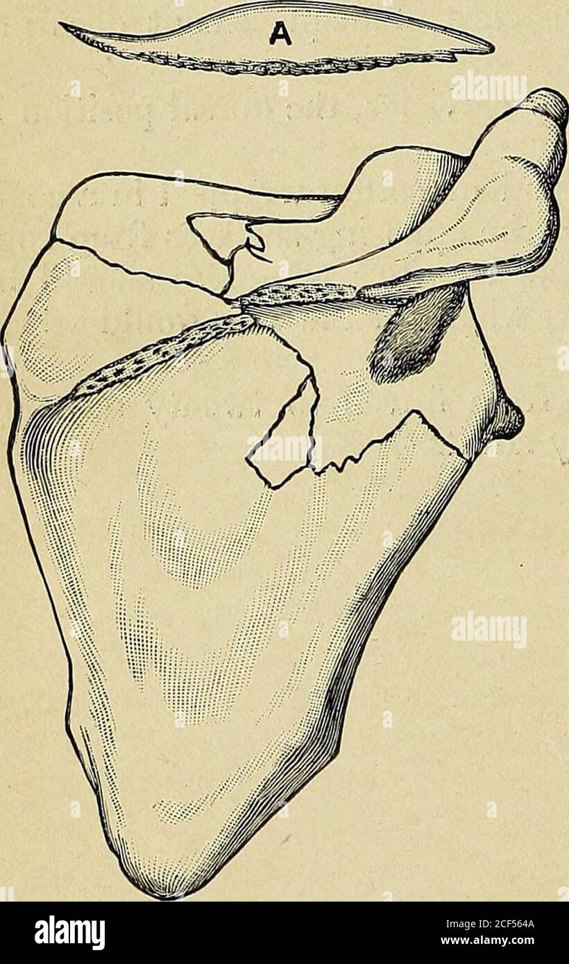Three Pass Shape High Resolution Stock Photography and Images - Alamy