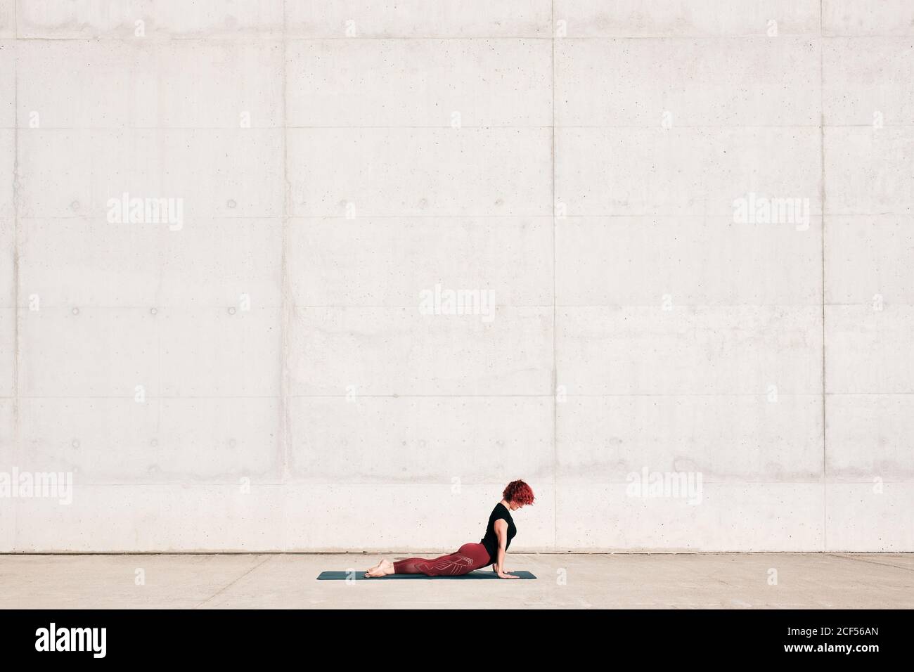 Baby cobra hi-res stock photography and images - Alamy