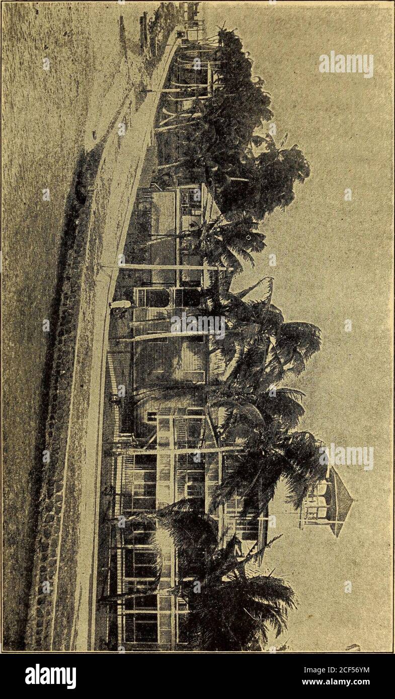 . Panama pictures : nature and life in the land of the great canal ...