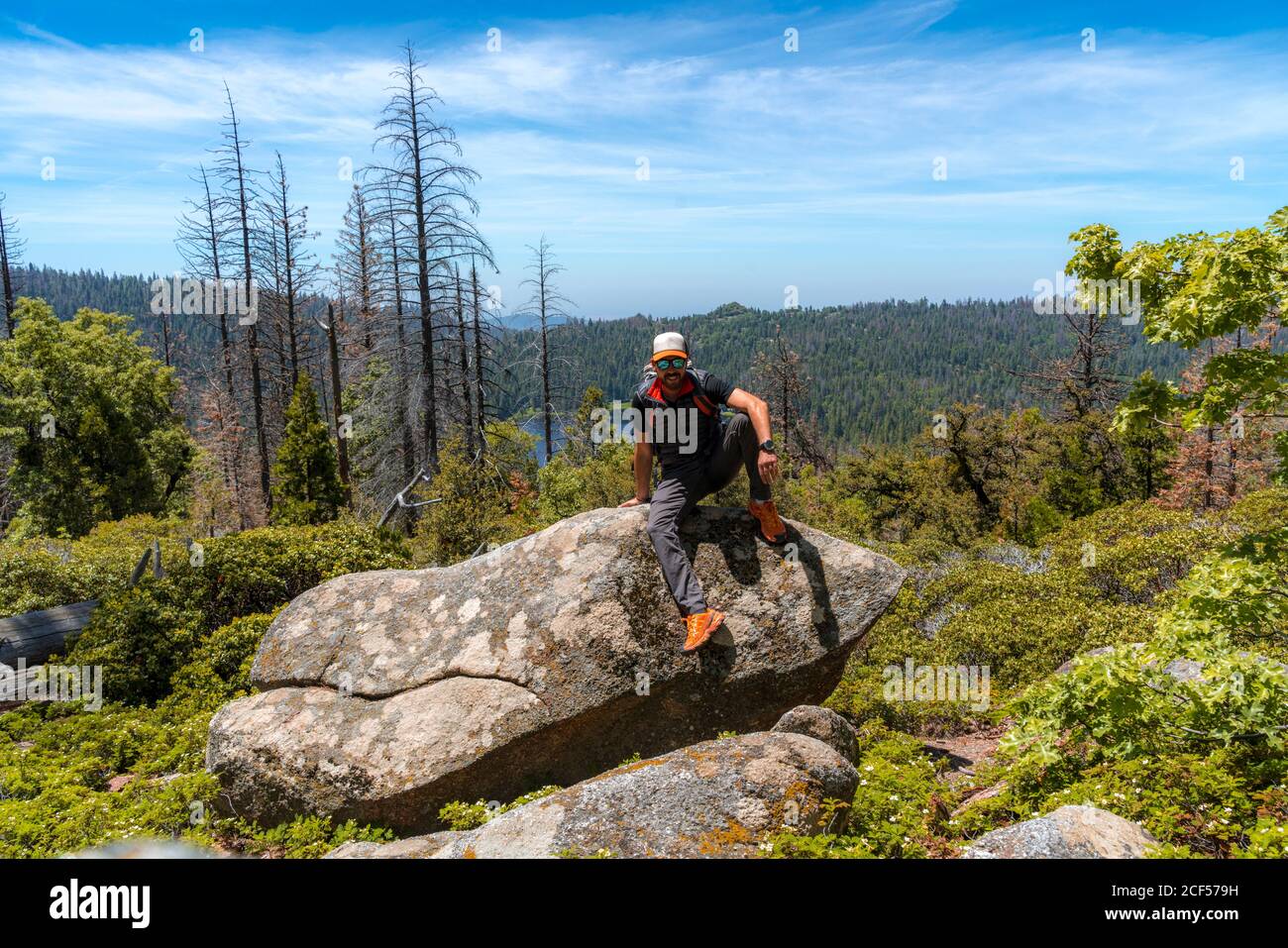 Big rock in forest hi-res stock photography and images - Alamy