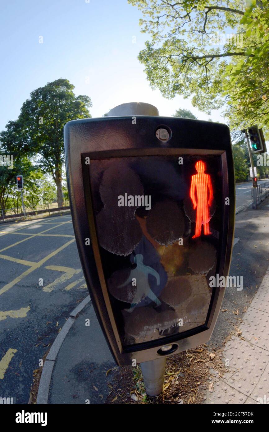 Puffin Crossing Hi res Stock Photography And Images Alamy Puffin Crossing Hi res Stock Photography And Images Alamy