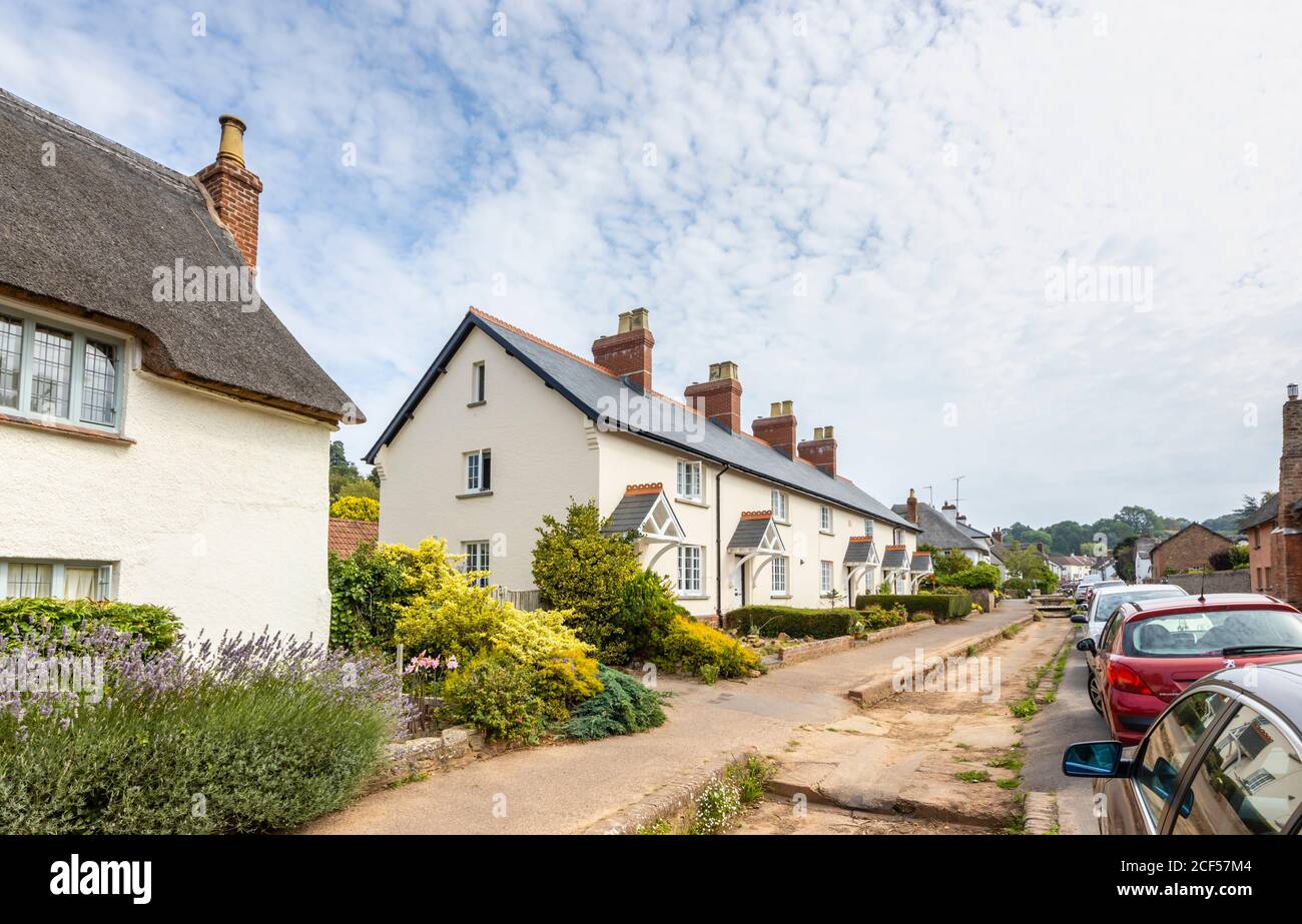 A row of pretty roadside cottages at Otterton, a picturesque quaint ...
