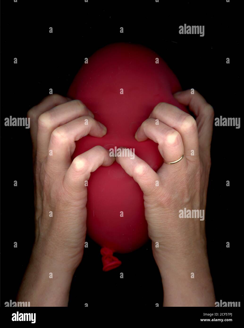 A woman’s hands aggressively squeeze an inflated red balloon against a ...