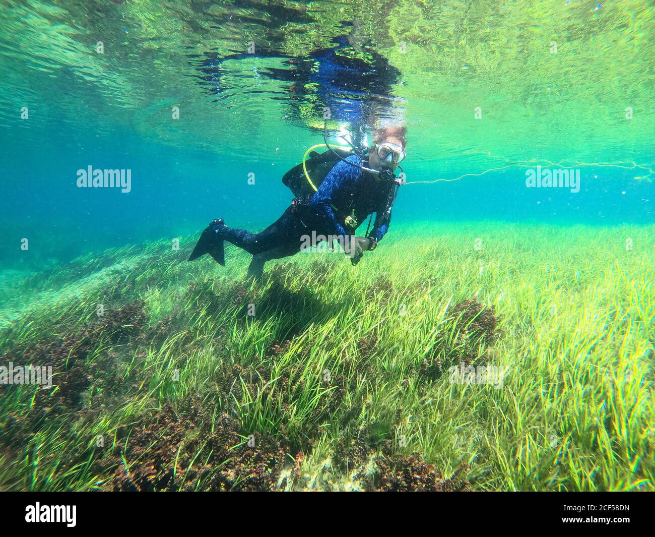 A senior man scuba diving in Rainbow River in Dunnellon, Florida on a ...