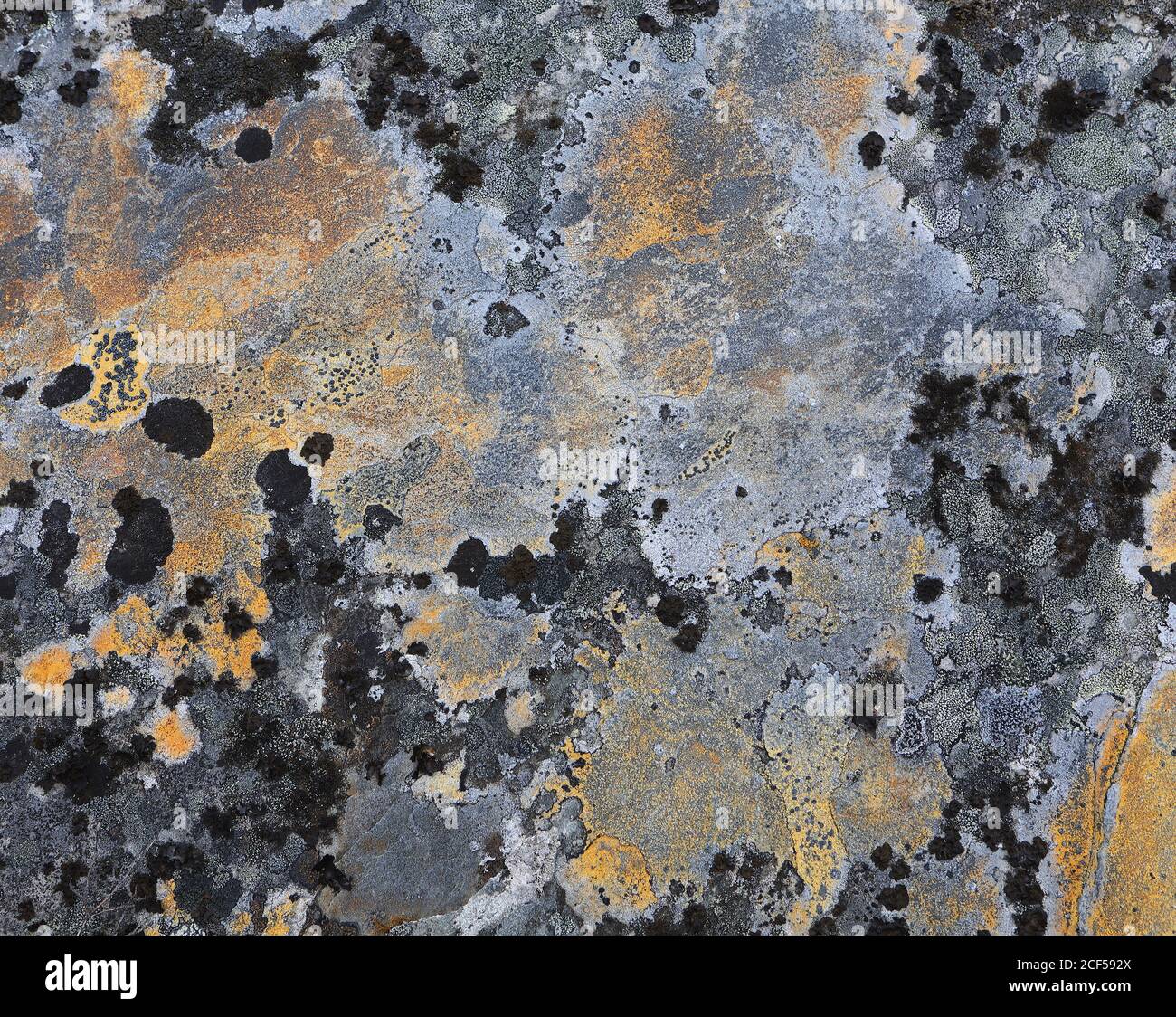 Beautiful stone background hi-res stock photography and images - Alamy