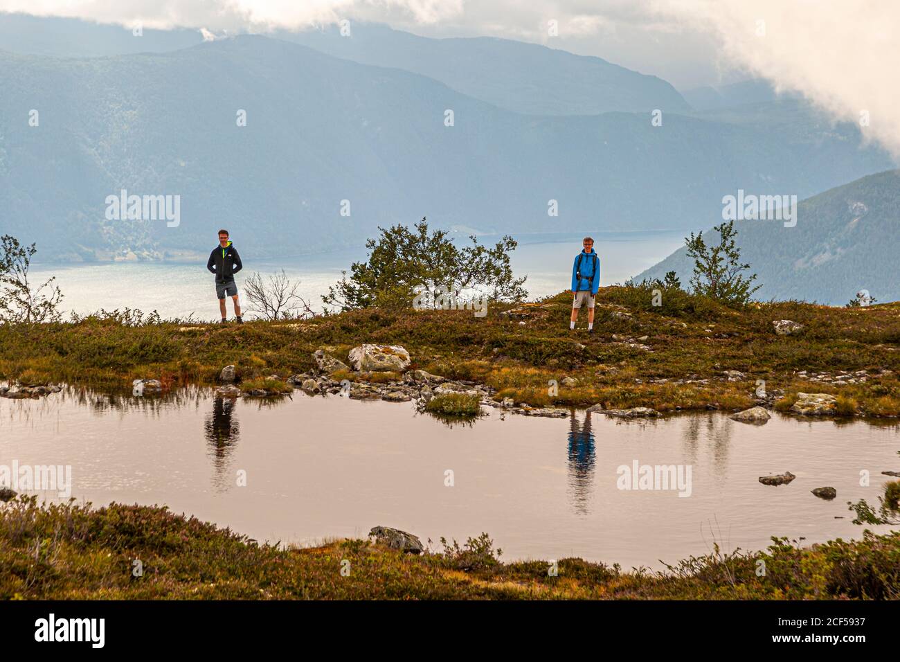 Norway tundra biome hi-res stock photography and images - Alamy