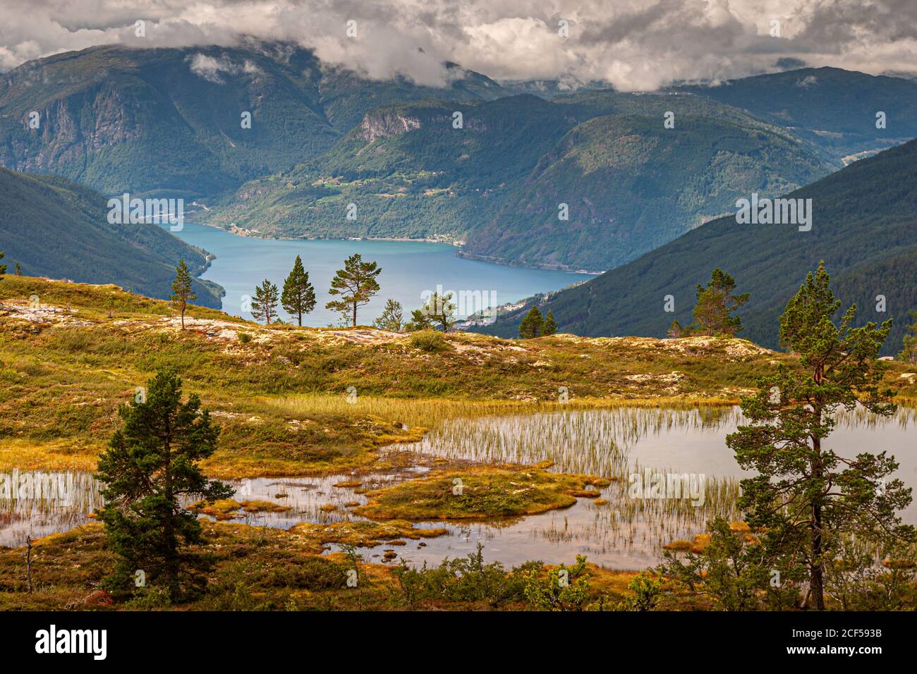 Tundra biome hi-res stock photography and images - Alamy