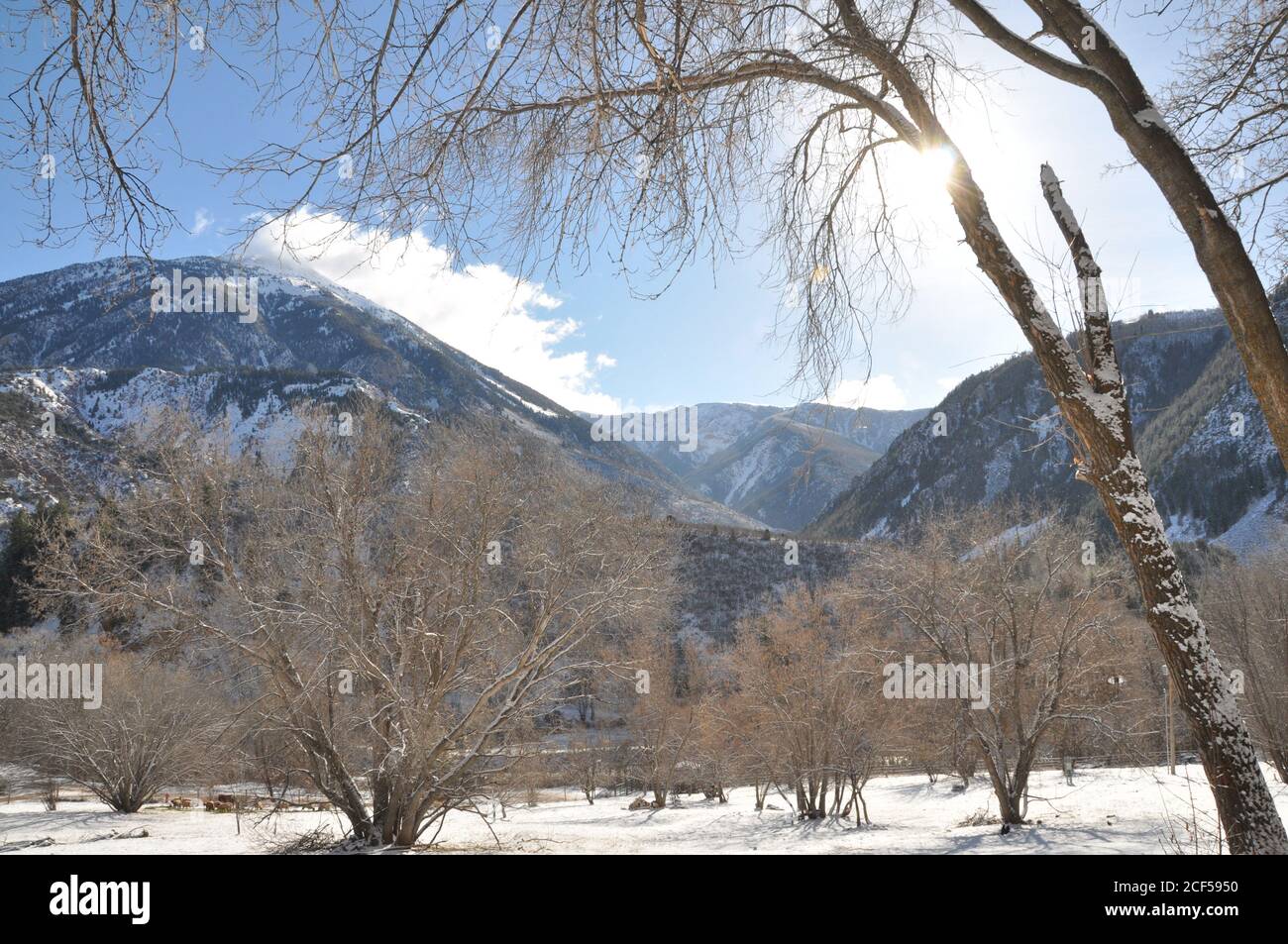 Avalanche Ranch Range Stock Photo - Alamy