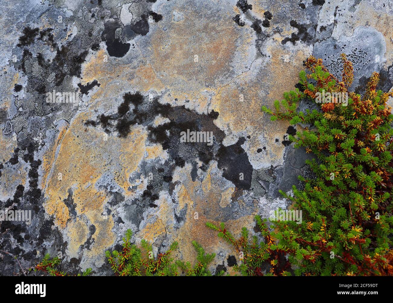 Beautiful natural wallpaper hi-res stock photography and images - Alamy