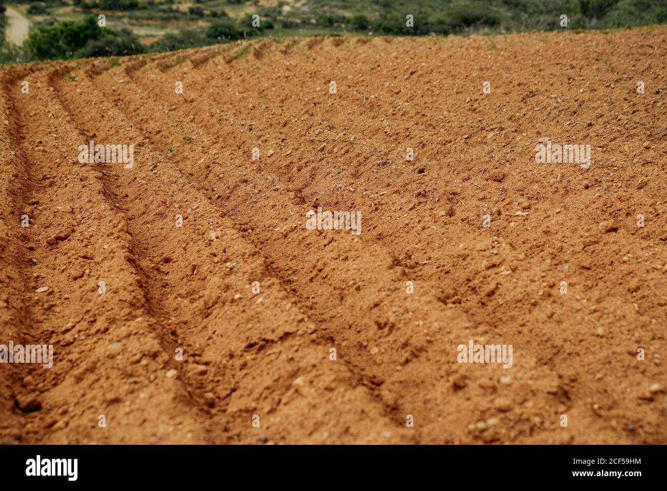 Agricultural preparation of soil for planting at ploughed field Stock ...