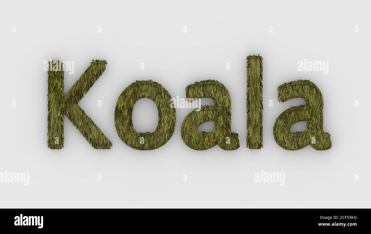 Koala - 3d word yellow on white background. render of furry letters ...