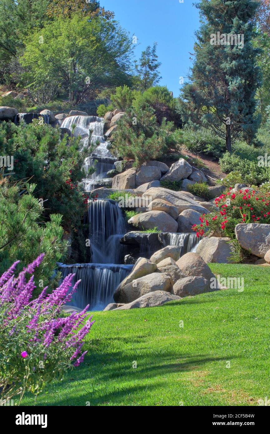 Redhawk hi-res stock photography and images - Alamy