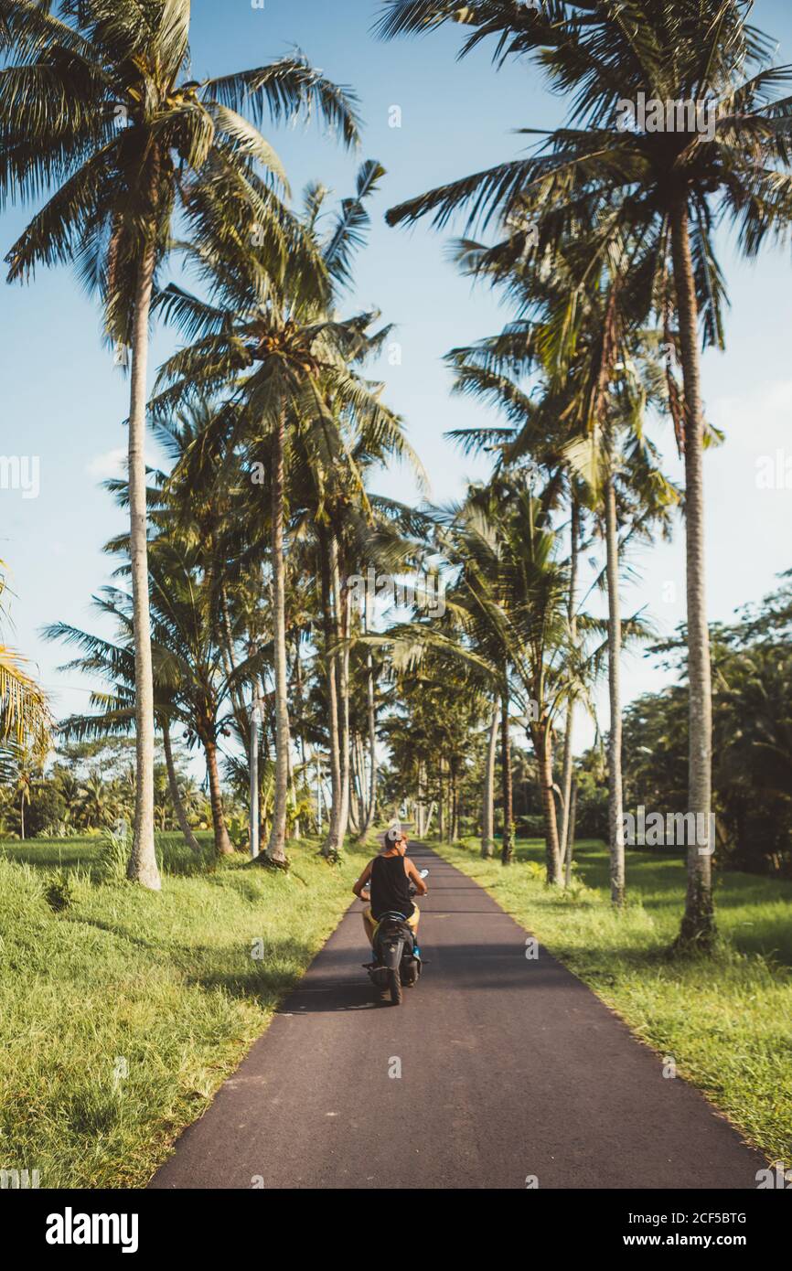 Roadway green tropical terrain tall palms hi-res stock photography and ...