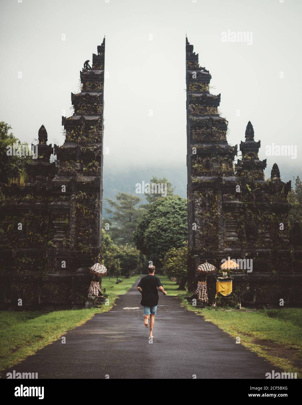 Back view of male traveler running on paved roadway into ancient mossy ...