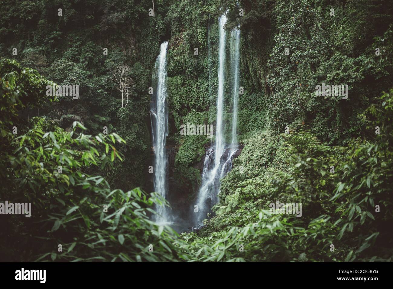 high green cliffs with waterfall, Bali Stock Photo - Alamy