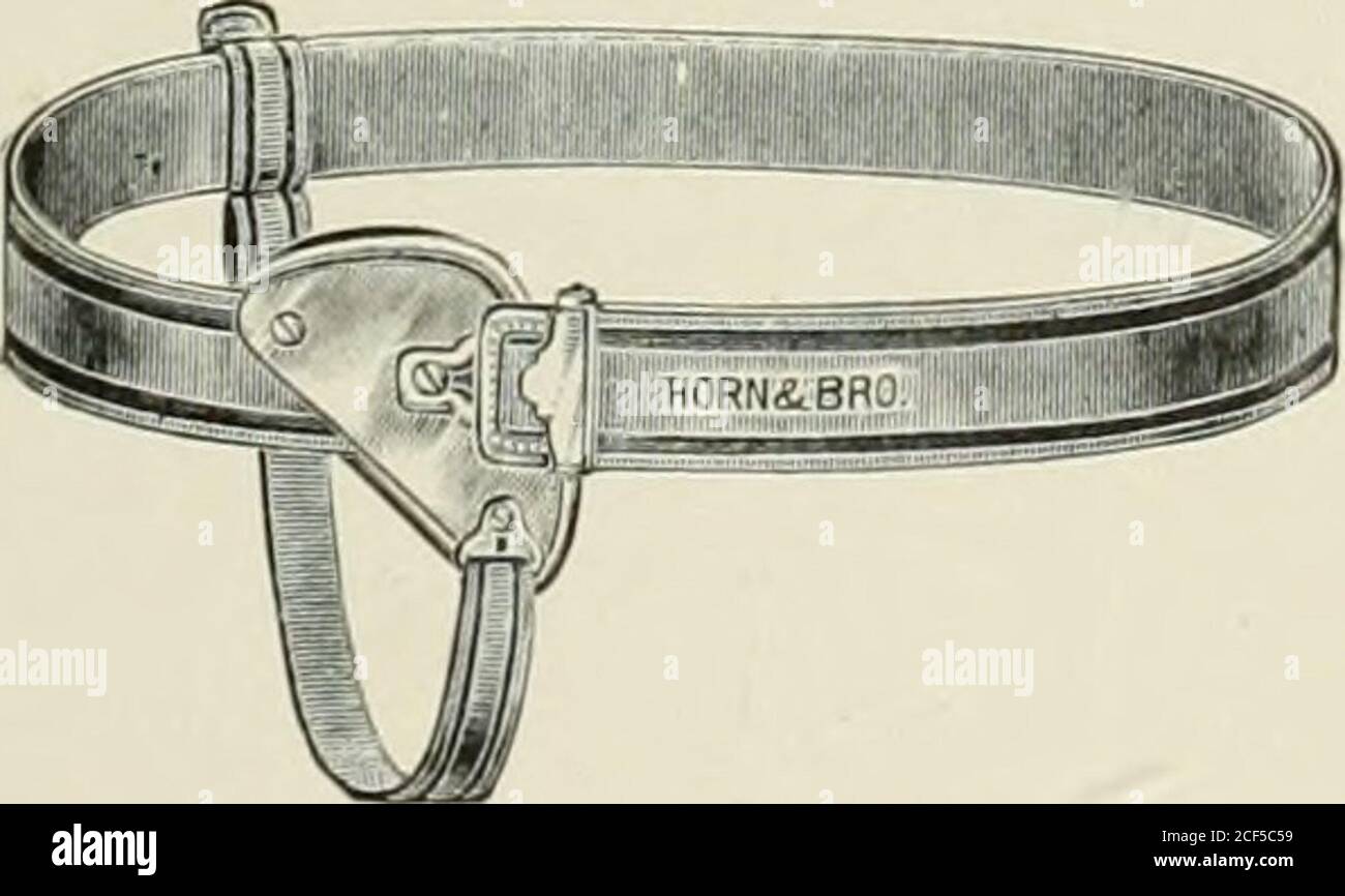 . Abdominal hernia : its diagnosis and treatment. 3. Double elastic ...